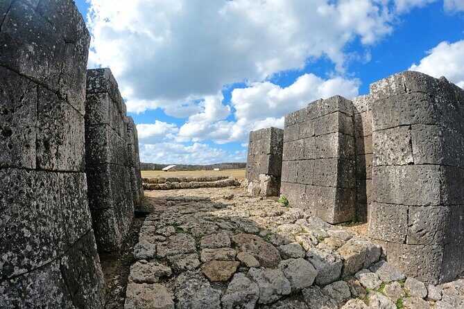 Okinawa: Katsuren Castle Ruins and Museum Guided Tour - Who This Tour Is Best For
