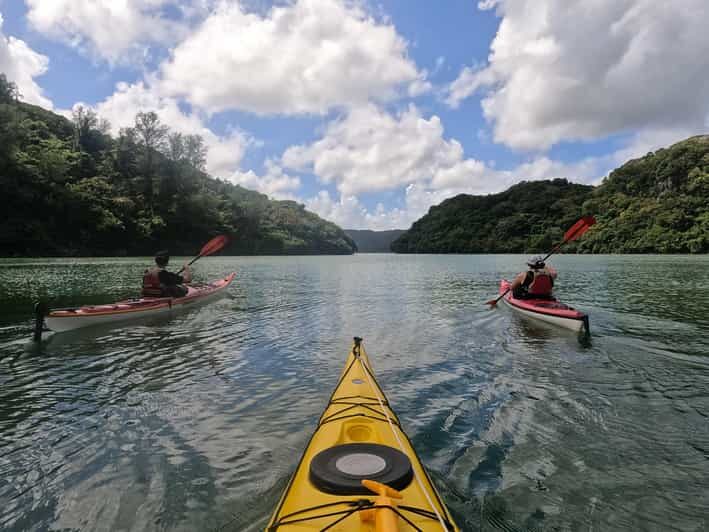Okinawa: Kayak Mangroves & Ocean Native-English Private Tour - Key Points