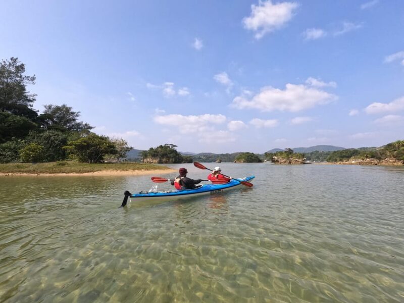 Okinawa: Kayak Mangroves & Ocean Native-English Private Tour - A Deep Dive into the Experience