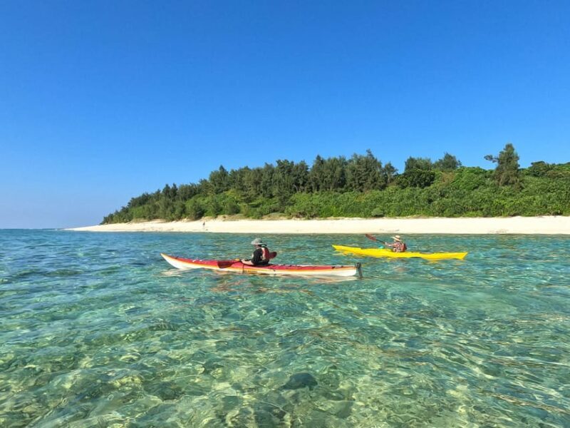 Okinawa: Kayak Mangroves & Ocean Native-English Private Tour - Authentic Encounters and Practical Tips