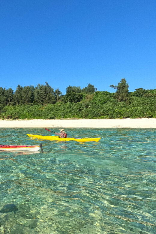 Okinawa: Kayak Mangroves & Ocean Native-English Private Tour - FAQ