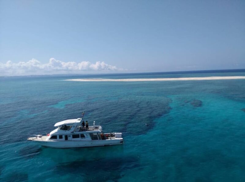 Okinawa : Kerama Whole Day Snorkeling Tour From Chatan/Naha - A Focus on the Experience