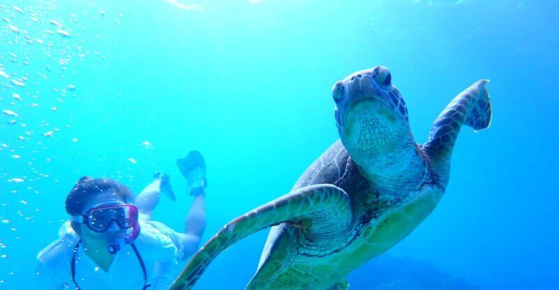 Okinawa : Kerama Whole Day Snorkeling Tour From Chatan/Naha - Authenticity and the Authentic Okinawa Touch