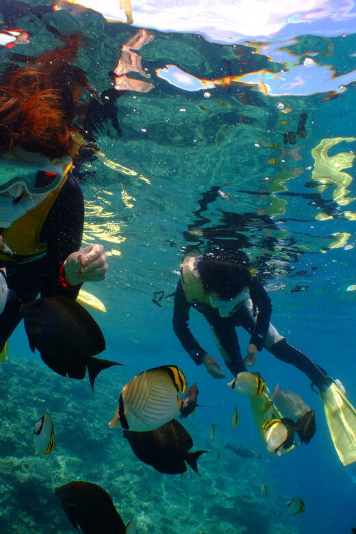 Okinawa : Kerama Whole Day Snorkeling Tour From Chatan/Naha - Considerations and Practical Tips