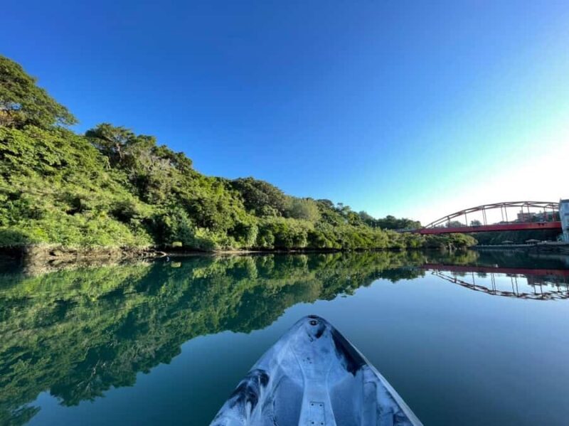 Okinawa: Mangrove Kayak Tour with Guide - Key Points