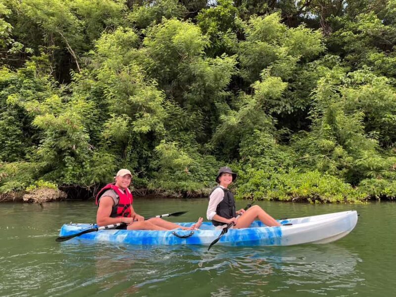 Okinawa: Mangrove Kayak Tour with Guide - What Makes This Tour Special?
