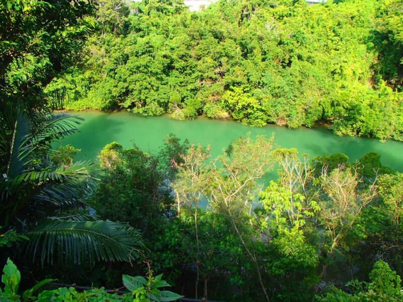 Okinawa: Mangrove Kayak Tour with Guide - Practical Considerations and What to Bring