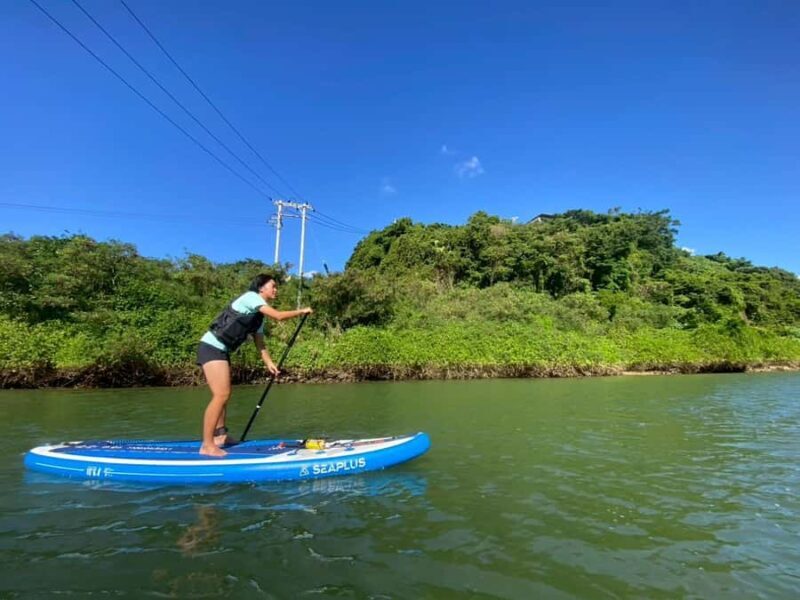 Okinawa: Mangrove SUP Tour with Photos - Exploring Okinawa’s Mangroves on a Stand-Up Paddleboard Tour