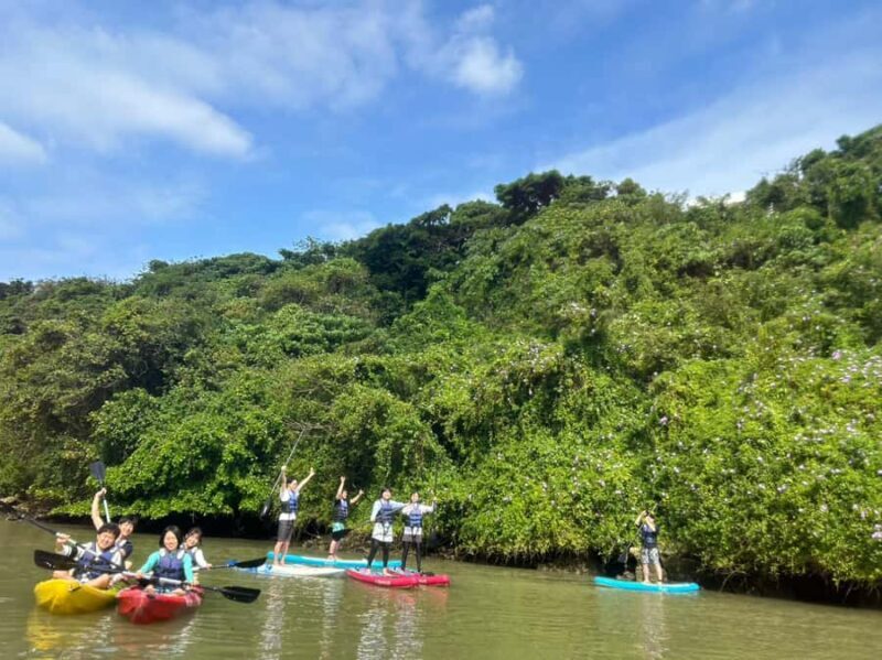 Okinawa: Mangrove SUP Tour with Photos - Final Thoughts