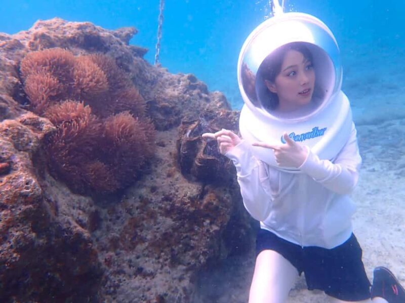 Okinawa MarinSportsSeaWalk in Onna village (free benefits) - The Underwater Experience: What You Can Expect