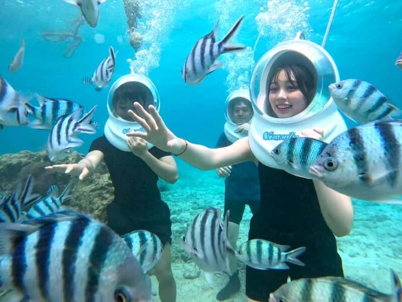 Okinawa MarinSportsSeaWalk in Onna village (free benefits) - Why the Value Is Impressive