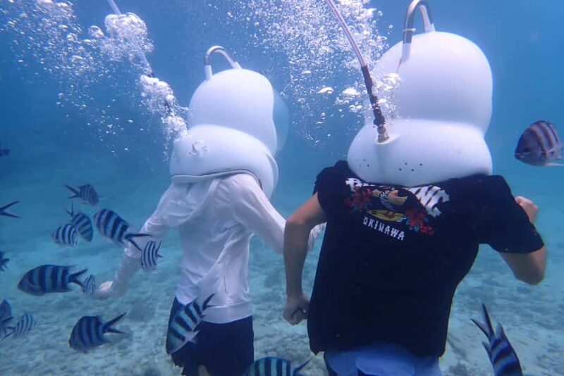 Okinawa MarinSportsSeaWalk in Onna village (free benefits) - The Sum Up: Is It Worth It?