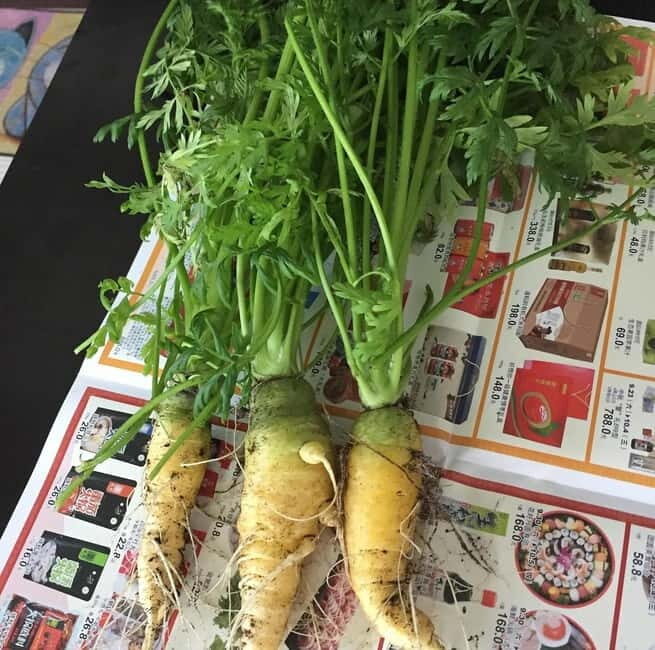 Okinawa: Market Tour and Cooking Class with a Chef - A Closer Look at the Tour Experience
