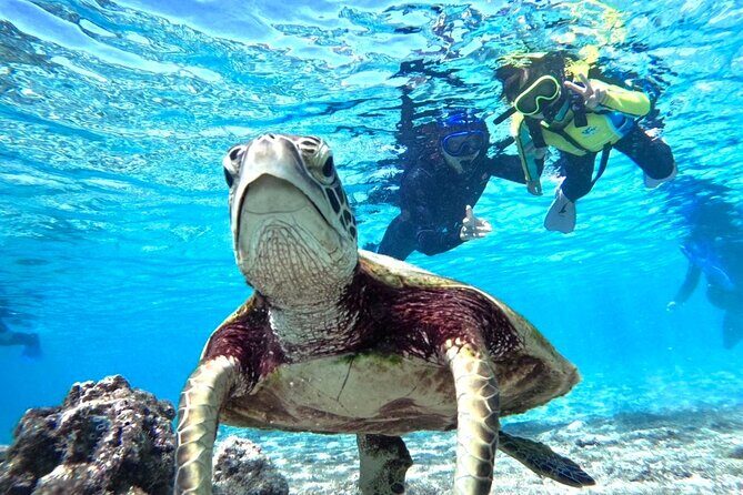 Okinawa Miyako Beach SUP or Canoe and sea turtle Snorkeling - Key Points