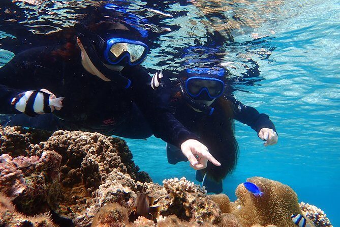 Okinawa Miyako Beach SUP or Canoe and sea turtle Snorkeling - FAQ