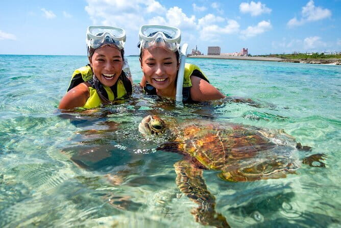 Okinawa Miyako Sea turtle Snorkeling Free Pick up and Drop off - Who Should Consider This Tour?