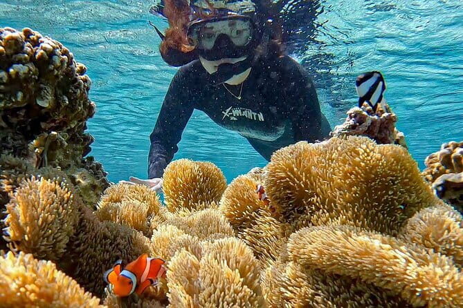 Okinawa Miyako Sea turtle Snorkeling Free Pick up and Drop off - Frequently Asked Questions