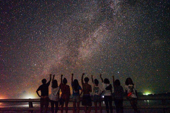 Okinawa Miyako Star gazing and subtropical jungle night tour - Introduction