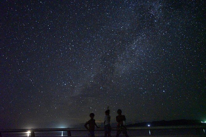 Okinawa Miyako Star gazing and subtropical jungle night tour - Key Points