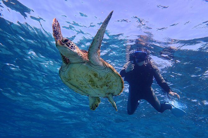 Okinawa Miyakojima 1 day Sea Turtle Snorkeling & Pumpkin Cave & Sea Kayak - Authenticity and Review Insights