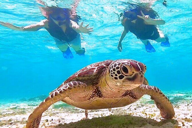 Okinawa Miyakojima 1 day Sea Turtle Snorkeling & Pumpkin Cave & Sea Kayak - FAQ