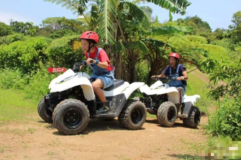 Okinawa Off-Road Adventure: Guided Quad Bike Tour - The Logistics and Group Size