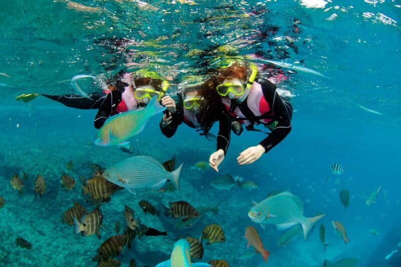 Okinawa Onna VillageSnokeling  Sea Walk by boat | 8 Perks - Key Points