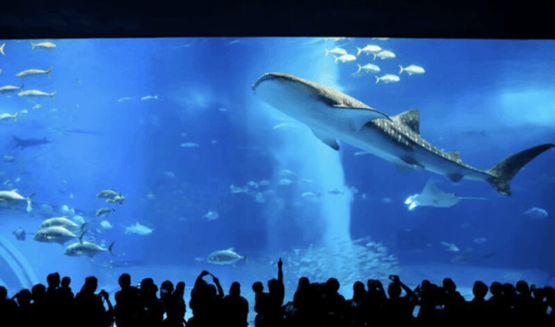 Okinawa Private Custom Tour with Local Guide - The Value and Who Would Love This Tour