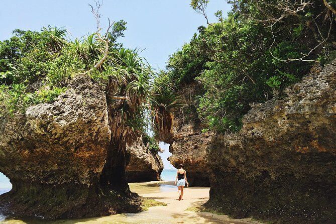 Okinawa Private Customizable Full Day Tour by Private Vehicle - Who Should Consider This Tour?