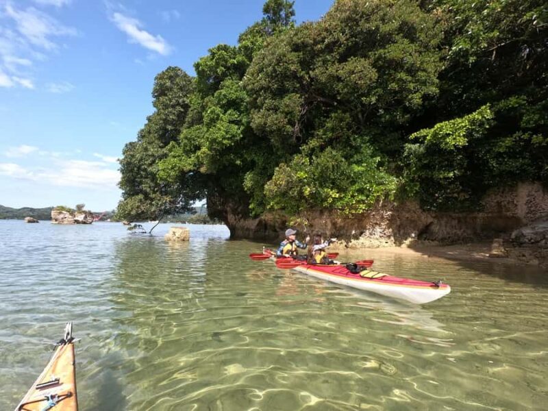 Okinawa: Private Full Circle Island Kayak Tour in English - An In-Depth Look at the Kayak Tour