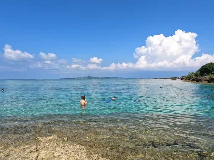 Okinawa Private Gorgeous Beach & Snorkel tour Native English - Exploring the Natural Beauty of Yambaru