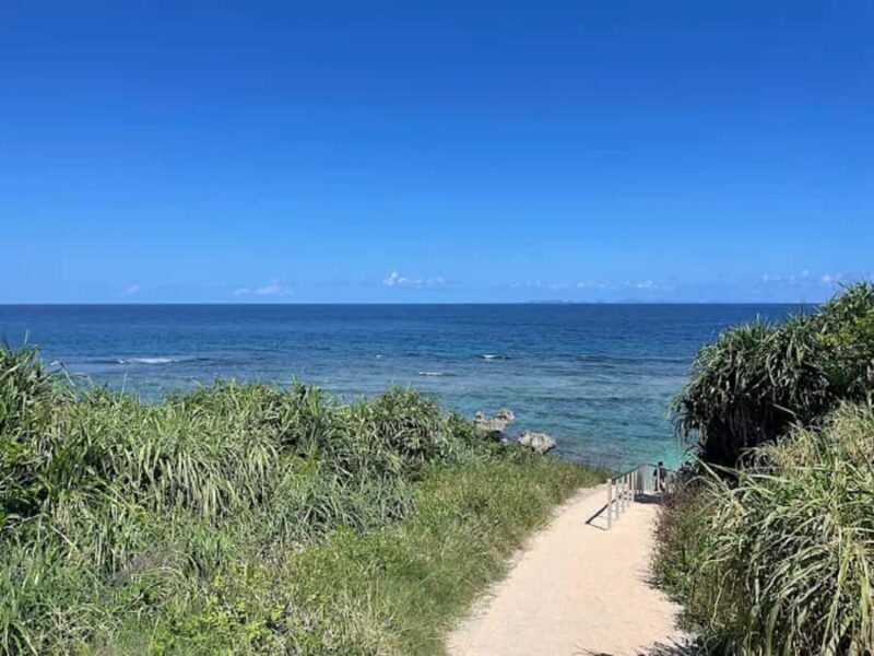 Okinawa: Private Kouri Island, Aquarium & Castle Guided Tour - Final Thoughts: Who Should Consider This Tour?