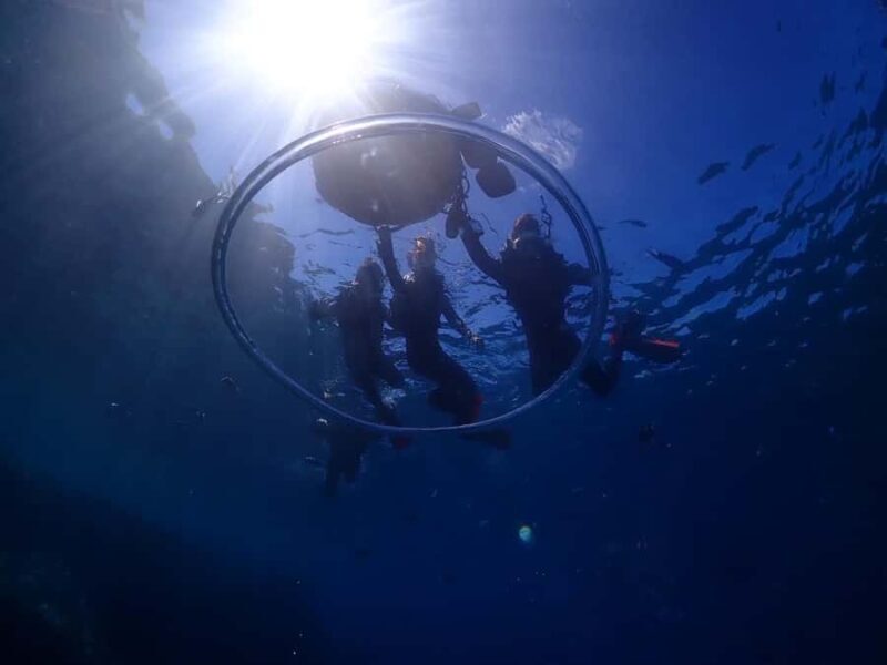 Okinawa: Private Snorkeling Tour - Key Points