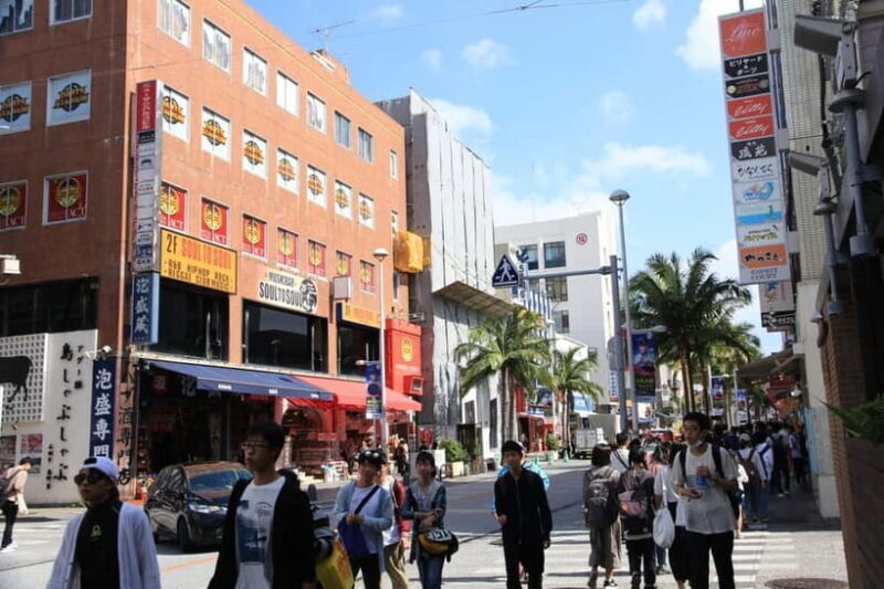 Okinawa Private Tour: Shrines, Markets & Vibrant Streets - Is it Worth the Price? Analyzing the Value