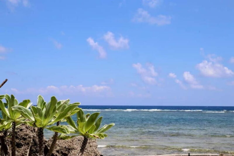 Okinawa: Sacred Island Tour to Kudakas Ryukyuan Holy Sites - Exploring Okinawa’s Sacred Island: Kudaka Tour Review