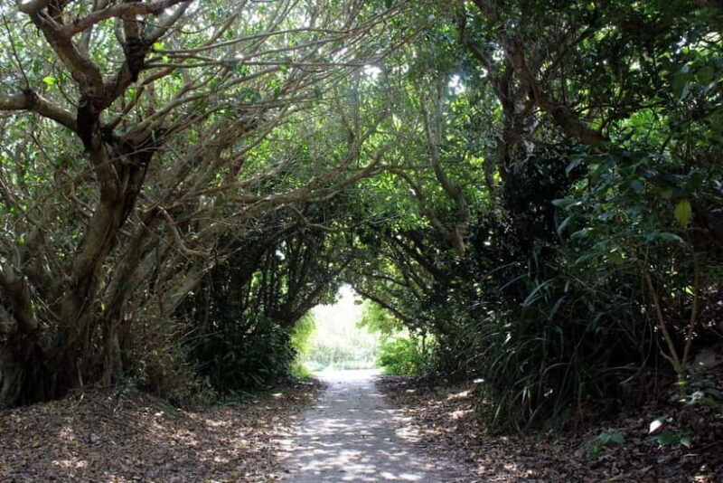 Okinawa: Sacred Island Tour to Kudakas Ryukyuan Holy Sites - Key Points