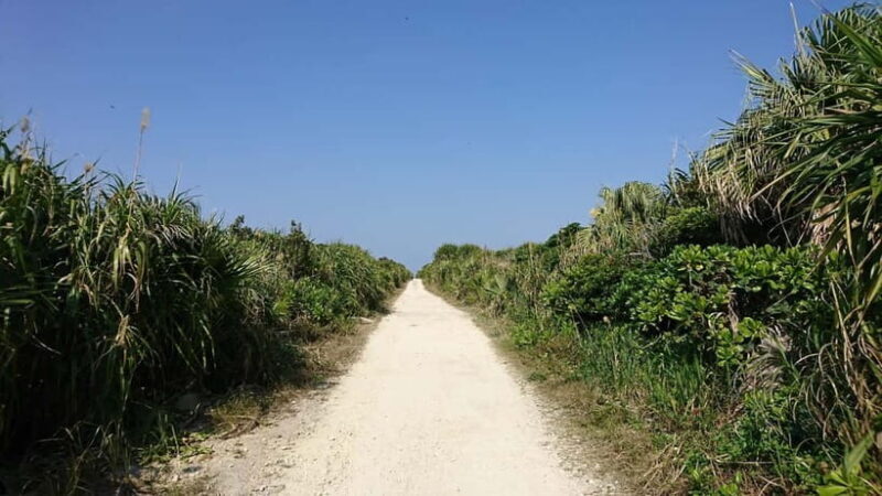 Okinawa: Sacred Island Tour to Kudakas Ryukyuan Holy Sites - Final Words