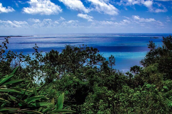 Okinawa: Sacred Sefa Utaki Walk into Ryukyus Spiritual - Exploring the Experience: A Deep Dive into Sefa Utaki