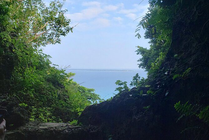 Okinawa: Sacred Sefa Utaki Walk into Ryukyus Spiritual - Who Should Consider This Tour?