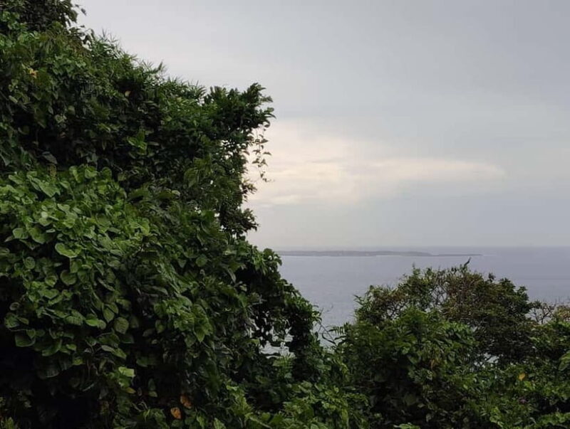 Okinawa: Sacred Sefa Utaki Walk into Ryukyus Spiritual - Who Should Consider This Tour?