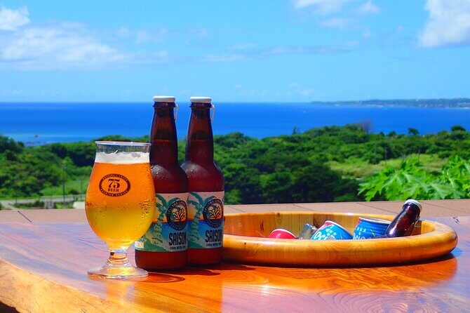 Okinawa Scuba Diving For Certified Divers (3 boat dives + Lunch) - Who Should Consider This Tour?