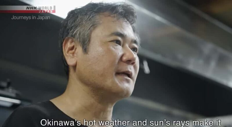 Okinawa: Sesoko Island Edible Flower Harvest & Meal - Why This Tour Offers Great Value