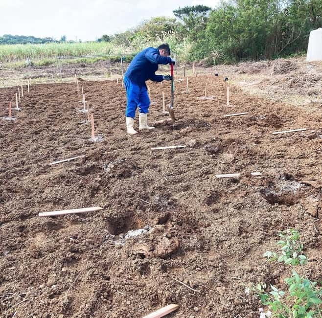 Okinawa: Traditional farming experience & cooking and a meal - Who Will Enjoy This Experience?