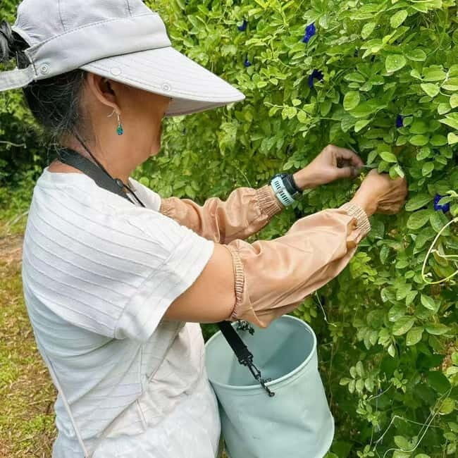 Okinawa: Traditional farming experience & cooking and a meal - FAQ