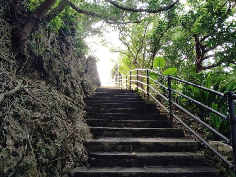Okinawa: Urasoe Castle, Royal Tomb & War History Walk - Practical Details and Value