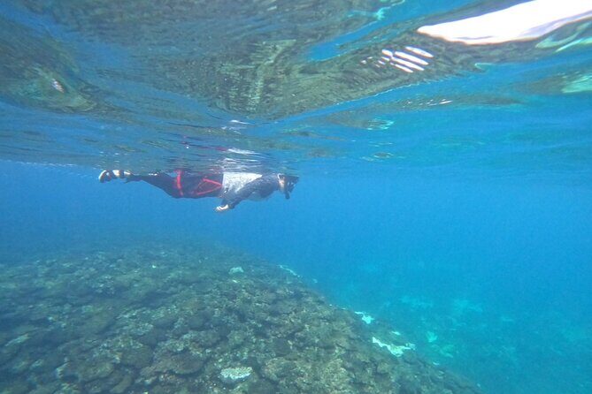 Okinawa West Coast 3-Hour Paddle-boarding adventures - The Sum Up: Who Will Love This Tour?