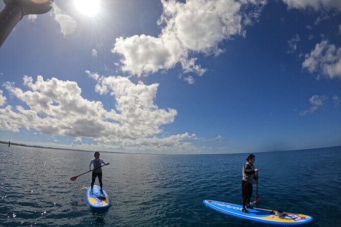Okinawa West Coast 3-Hour Paddle-boarding adventures - Frequently Asked Questions
