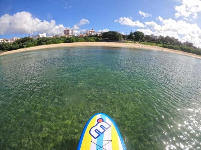 Okinawa: West Coast Stand-Up Paddleboarding Experience - Experience Overview: What to Expect on the Water