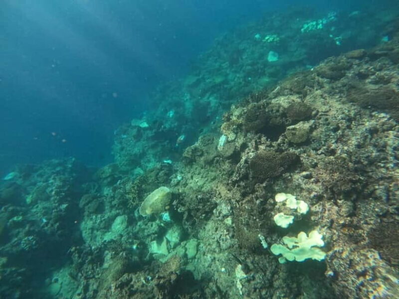 Okinawa: West Coast Stand-Up Paddleboarding Experience - The Value of the Experience