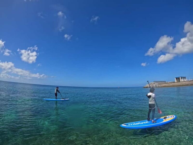 Okinawa: West Coast Stand-Up Paddleboarding Experience - Authenticity and Review Insights